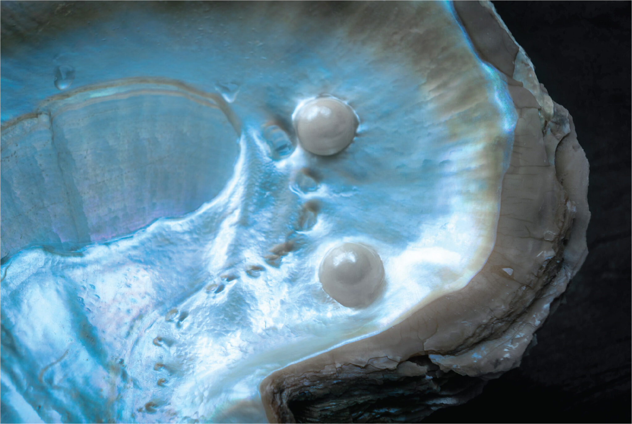 LULU lands – تدبير